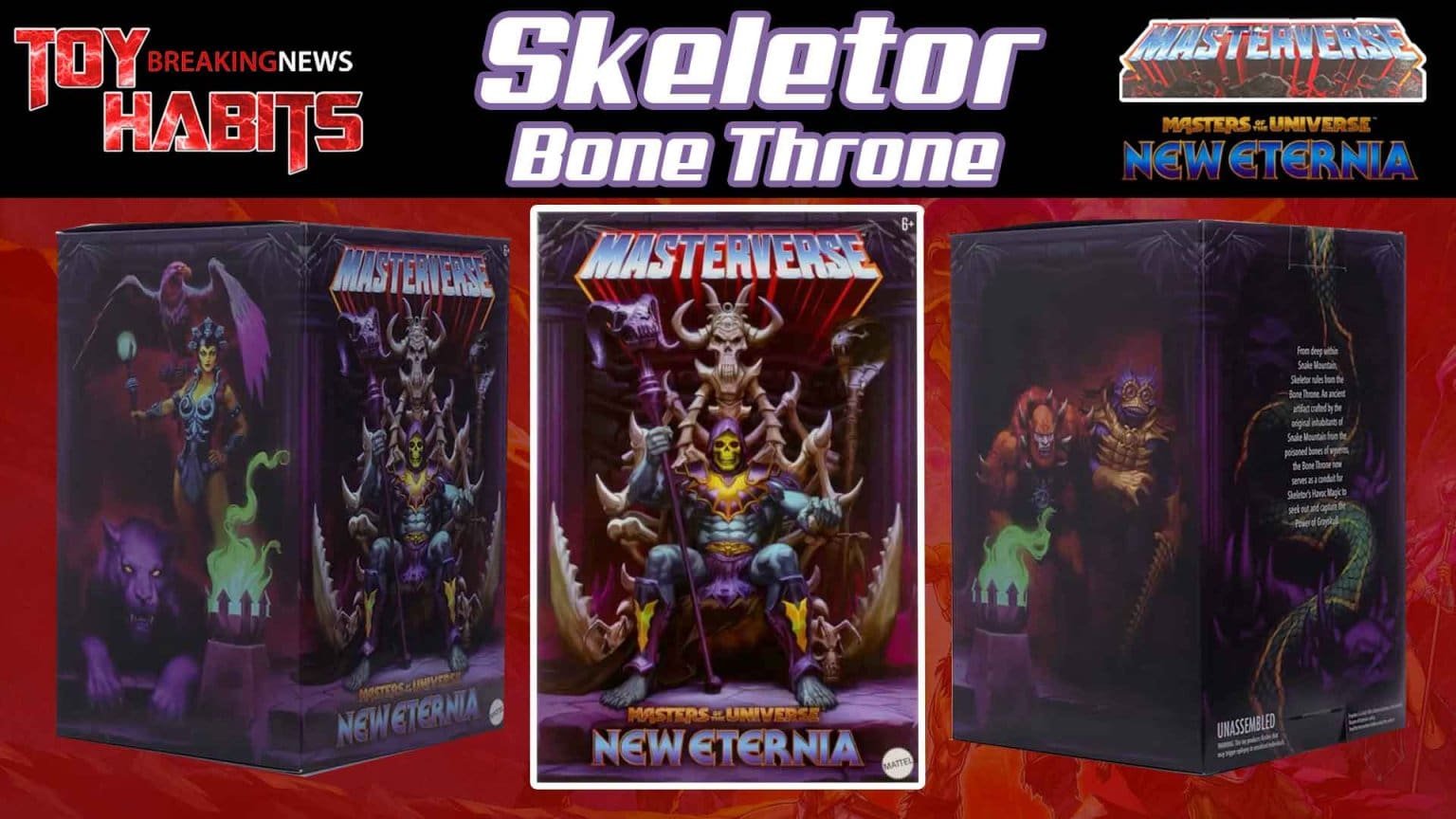 Skeletor and Bone Throne Masterverse Official Box Reveal - Toy Habits
