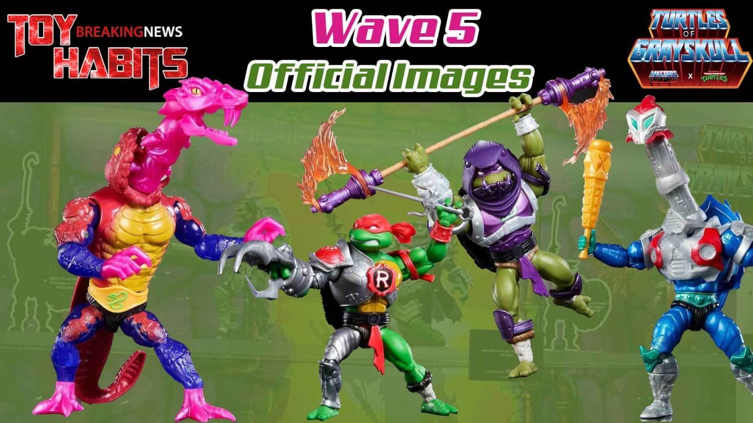 Turtles of Grayskull Wave 5 Official Images - Toy Habits